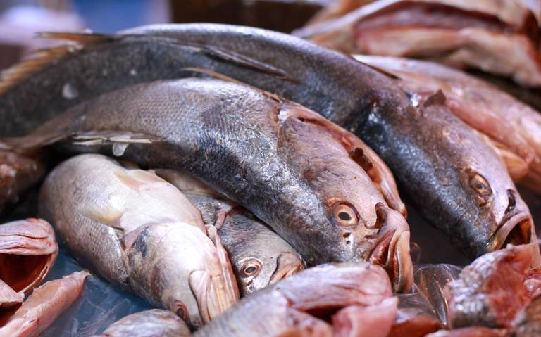 Semana Santa: ¿Quieres preparar mariscos? Estos son los más caros según ...